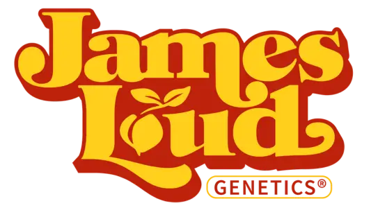 James Loud – Gas Station