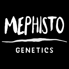 Mephisto Genetics – Gas Station