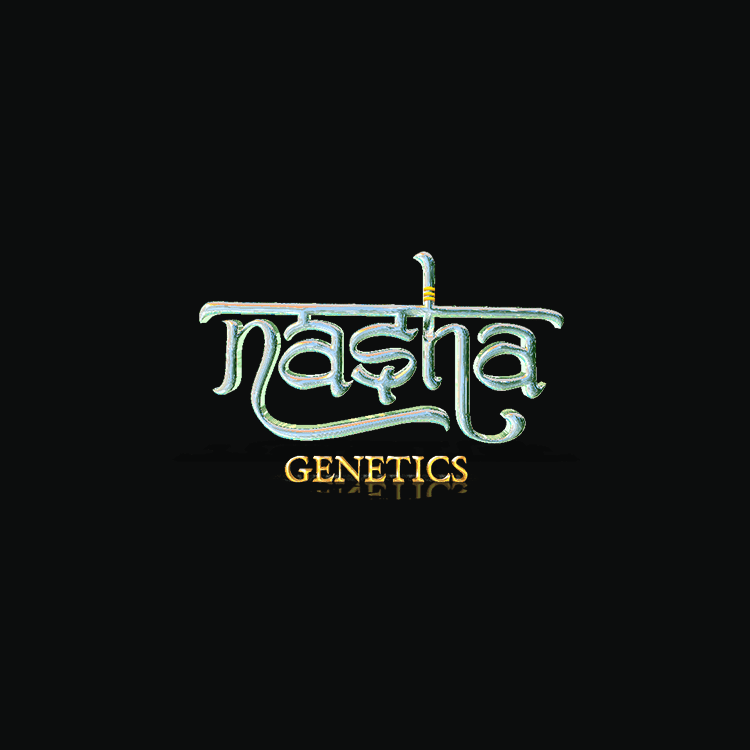 Nasha Genetics | Gas-Station.lu – Gas Station