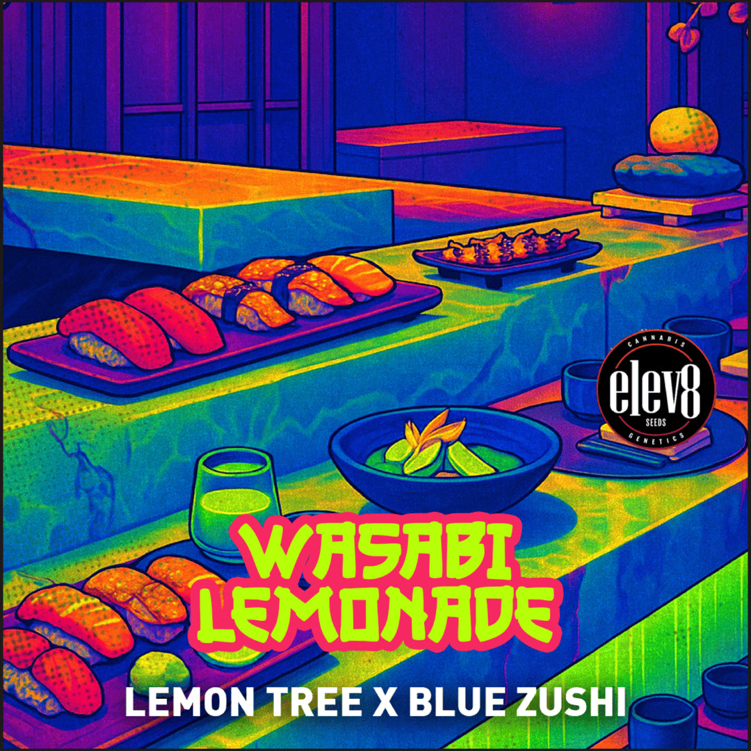 Wasabi Lemonade (Lemon Tree x Blue Zushi) 6 seeds + 2 Spicy Guava ...